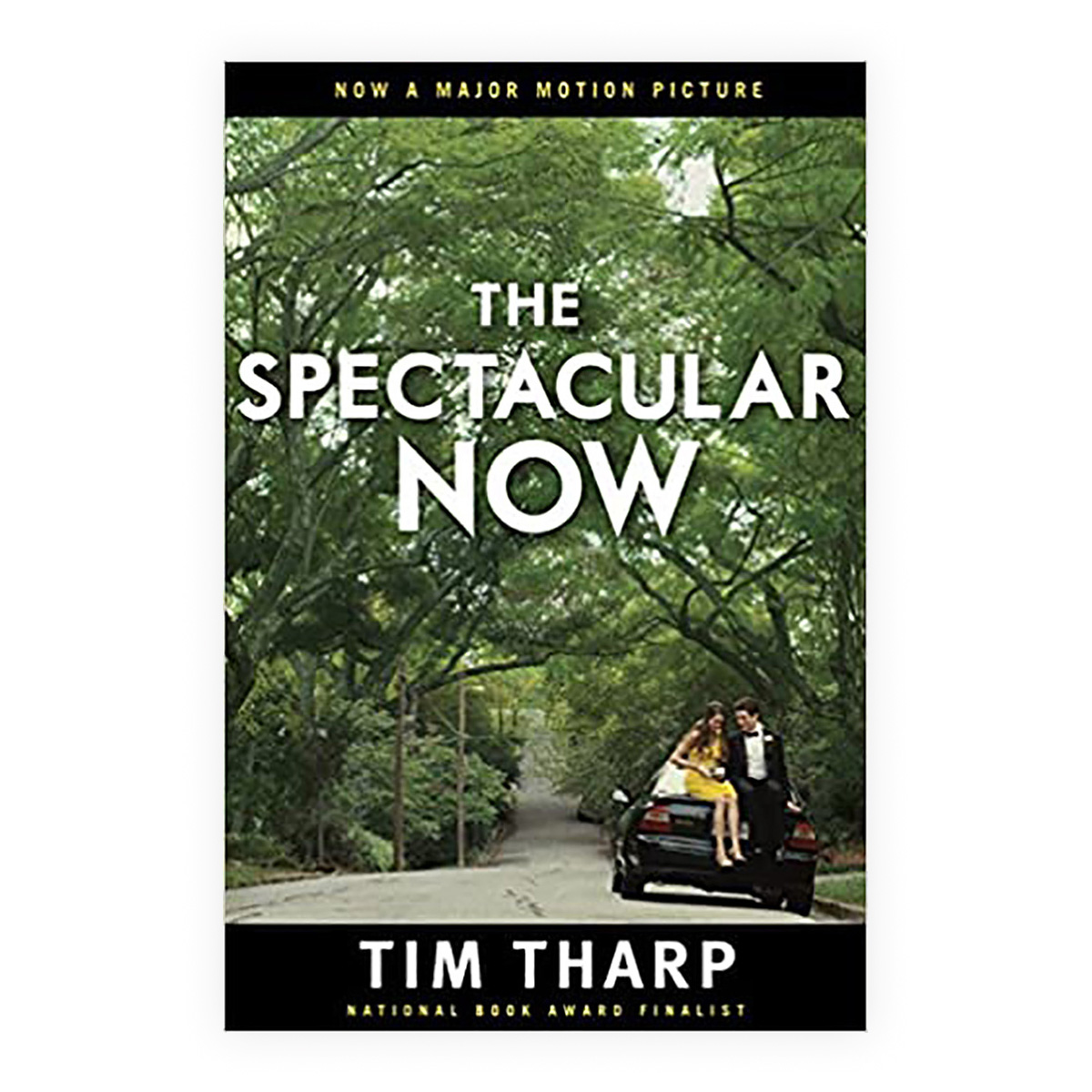 The Spectacular now | literatura.mk