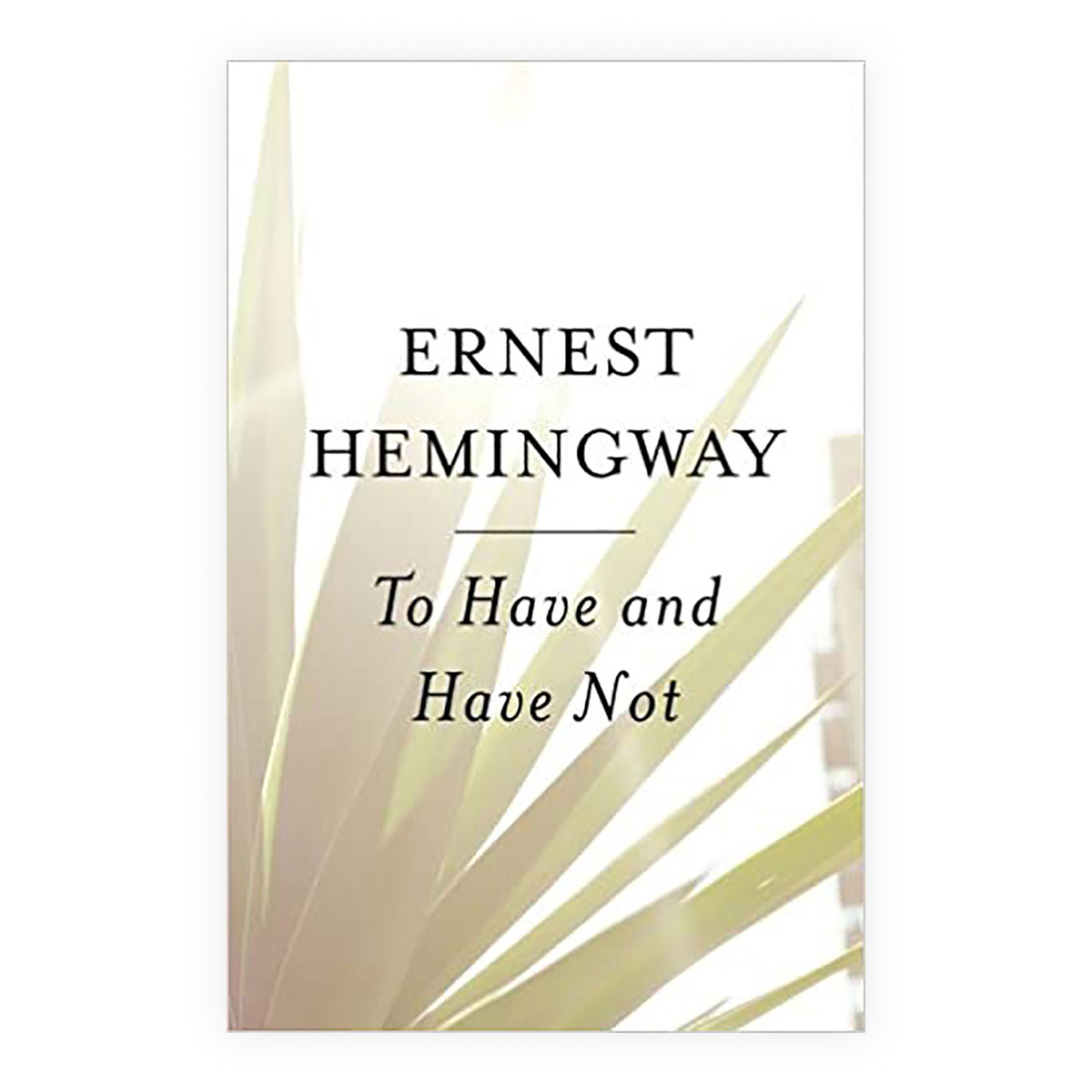 To Have and Have Not | literatura.mk