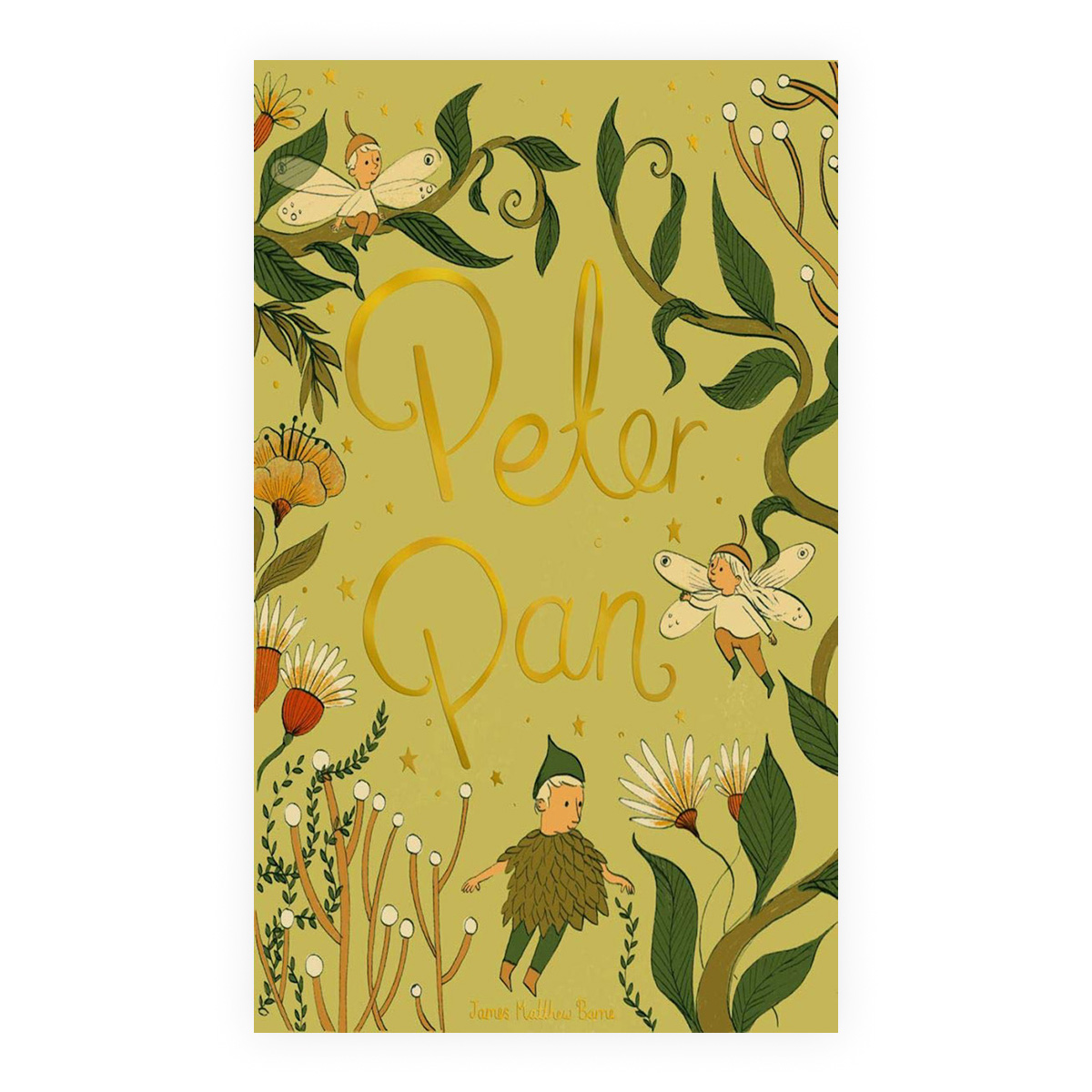 Peter Pan & Peter Pan in Kensington Gardens | literatura.mk