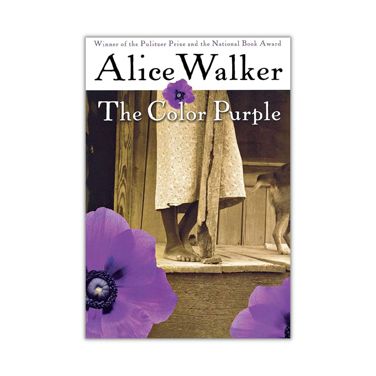The color purple | literatura.mk