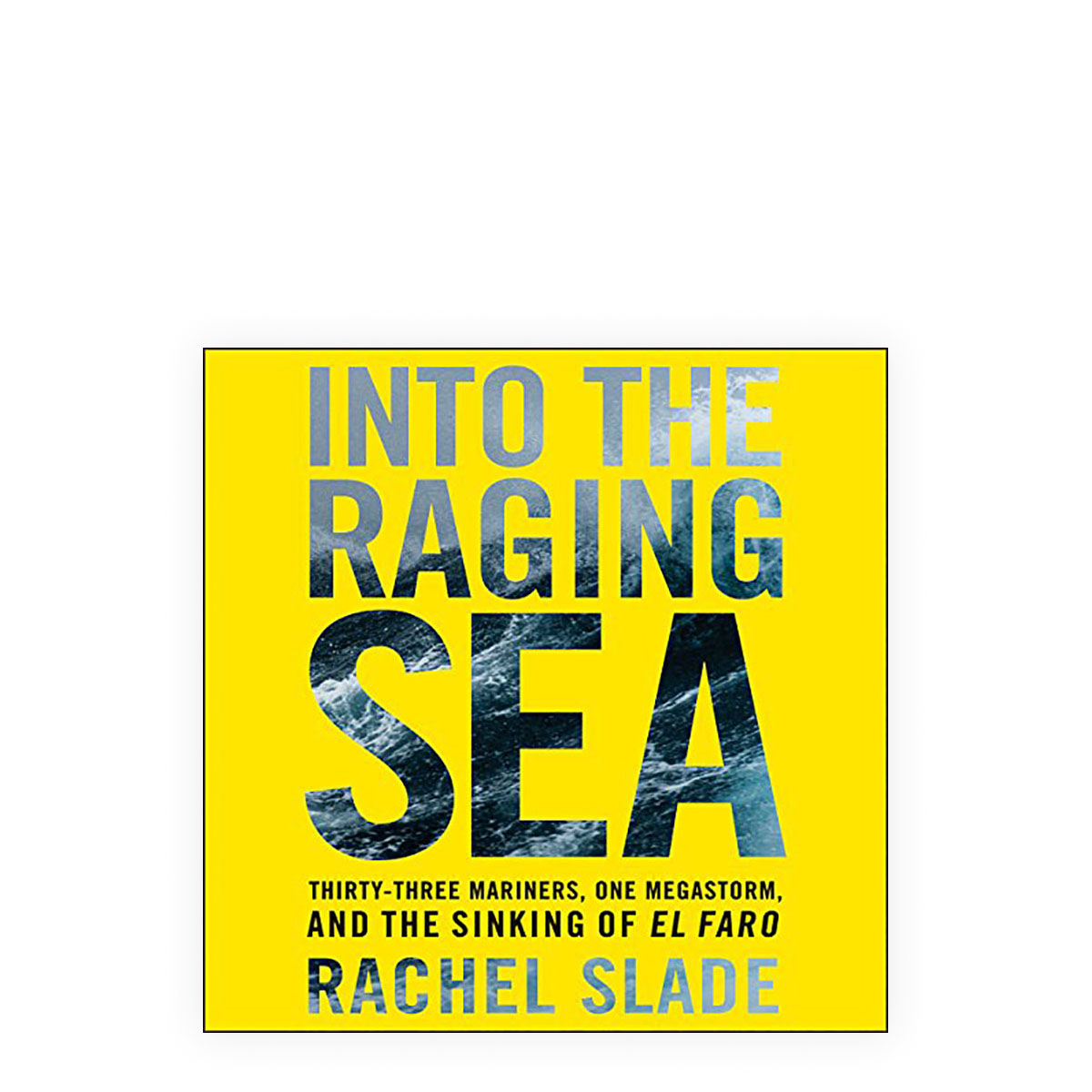 Into the Raging Sea : Thirty-Three Mariners, One Megastorm ...