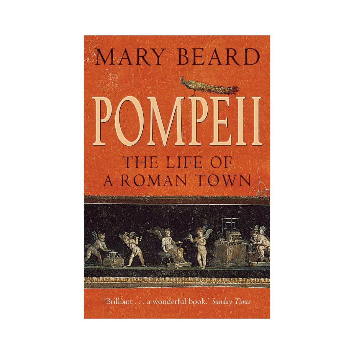 Pompeii : The Life of a Roman Town | literatura.mk