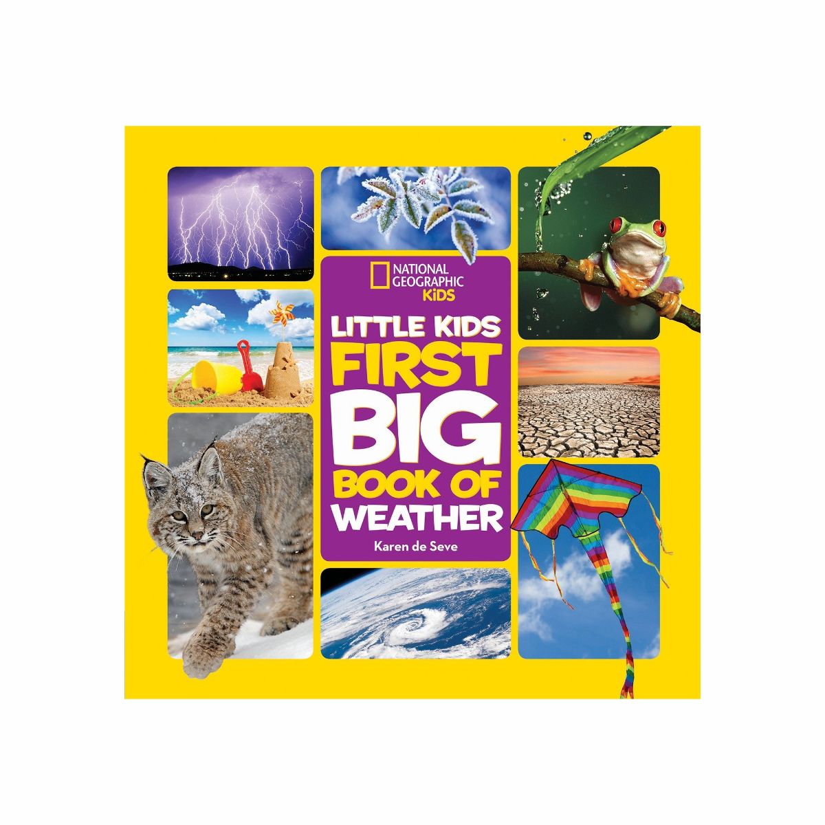 National Geographic Little Kids First Big Book of Weather National ...