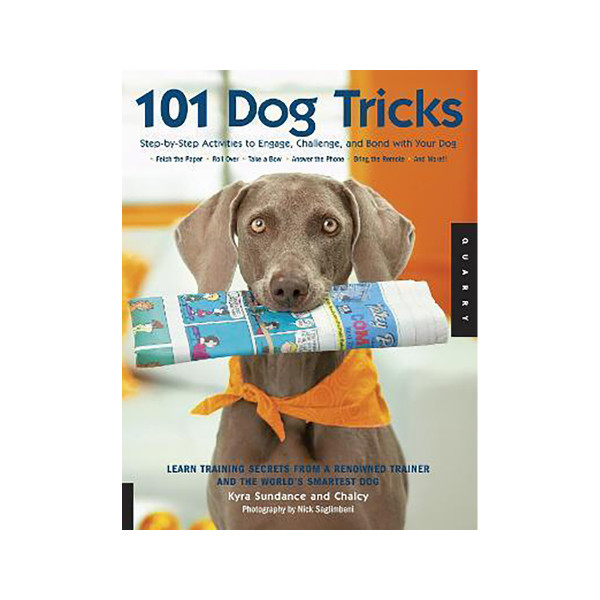 101 Dog Tricks: Volume 1 : Step by Step Activities to Engage, Challenge ...